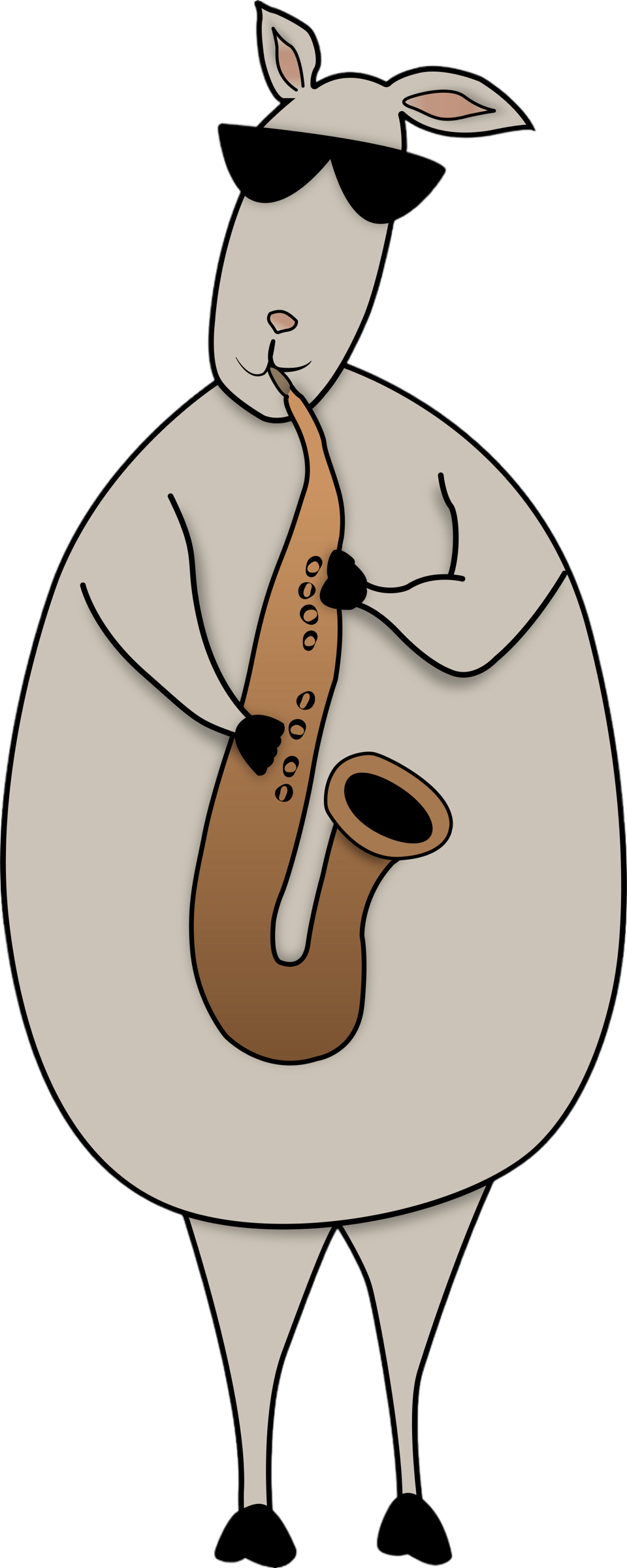 Collections – The Instrument Barn