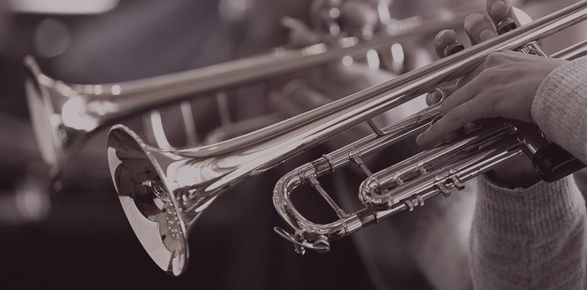 Collections – Page 2 – The Instrument Barn